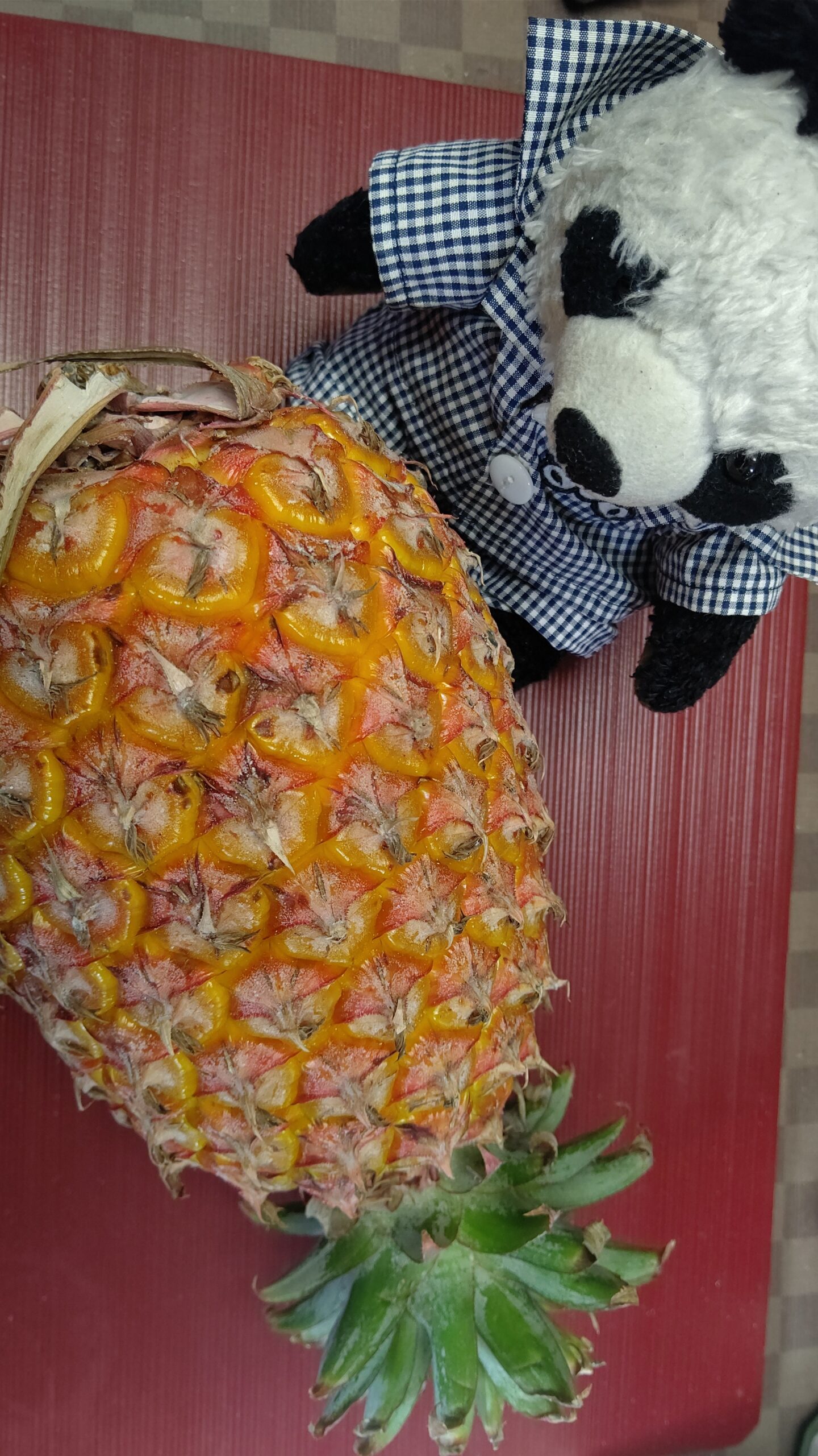 台湾の完熟パイナップル – PICO TOUR ピコパンダ