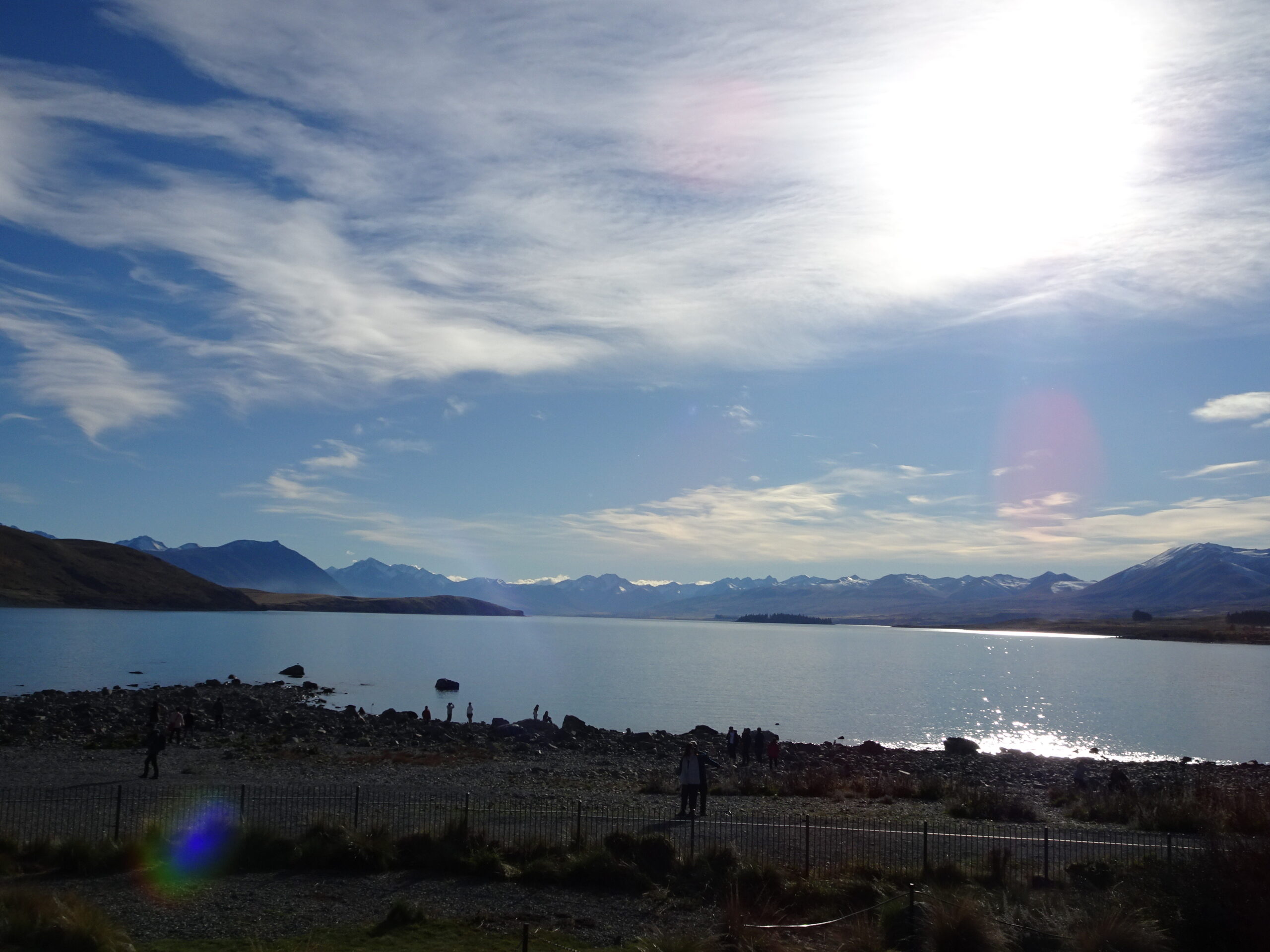 テカポ湖 – PICO TOUR ピコパンダ